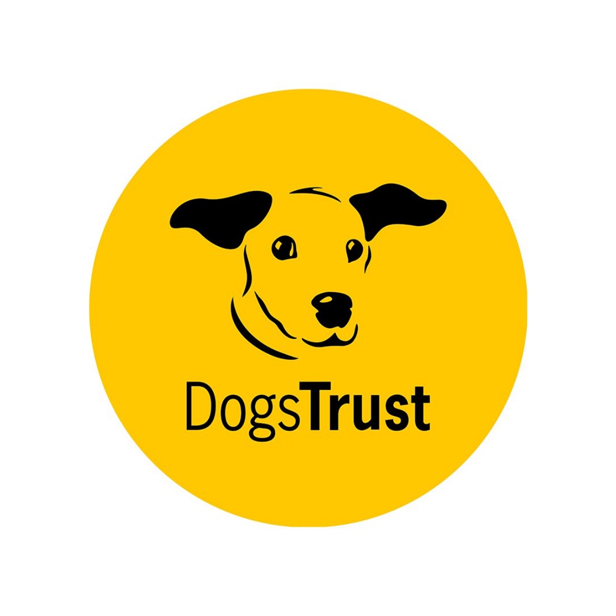 Galliard Primary School - Dogs Trust Visit